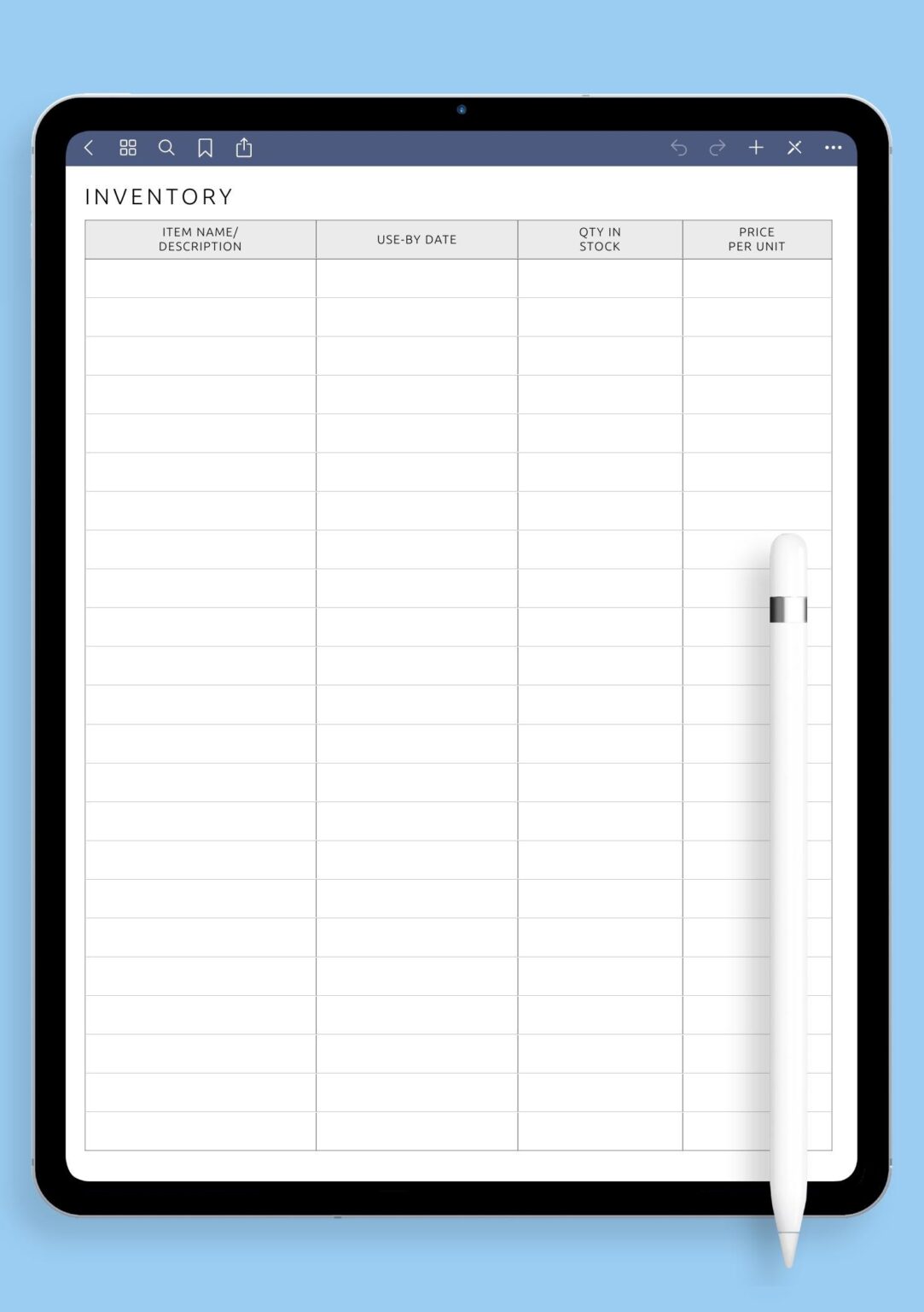 Computer Inventory Database Template