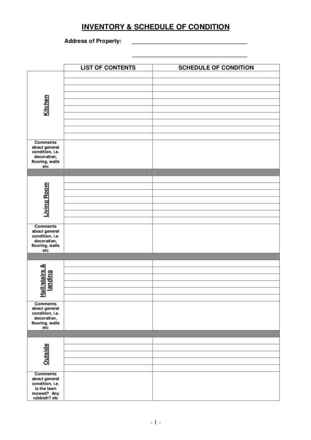 Inventory Schedule of Condition Template