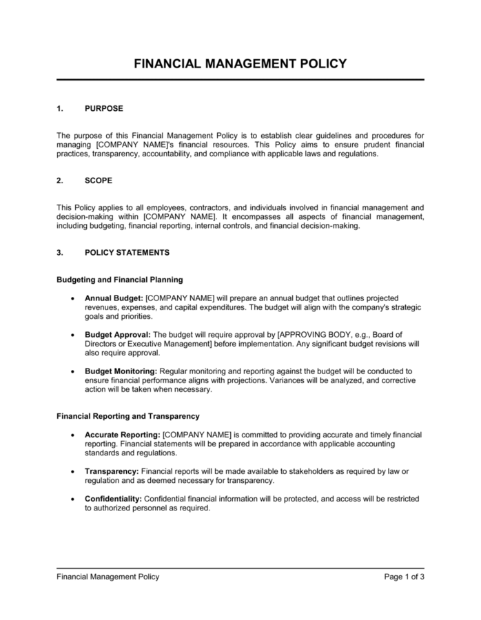 Financial Policies And Procedure Template